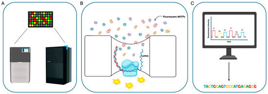 Biomolecules | Free Full-Text | The Third-Generation Sequencing ...