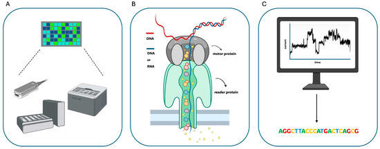 Biomolecules | Free Full-Text | The Third-Generation Sequencing ...
