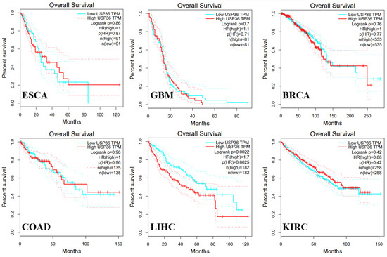 The Emerging Role of Ubiquitin-Specific Protease 36 (USP36) in Cancer ...
