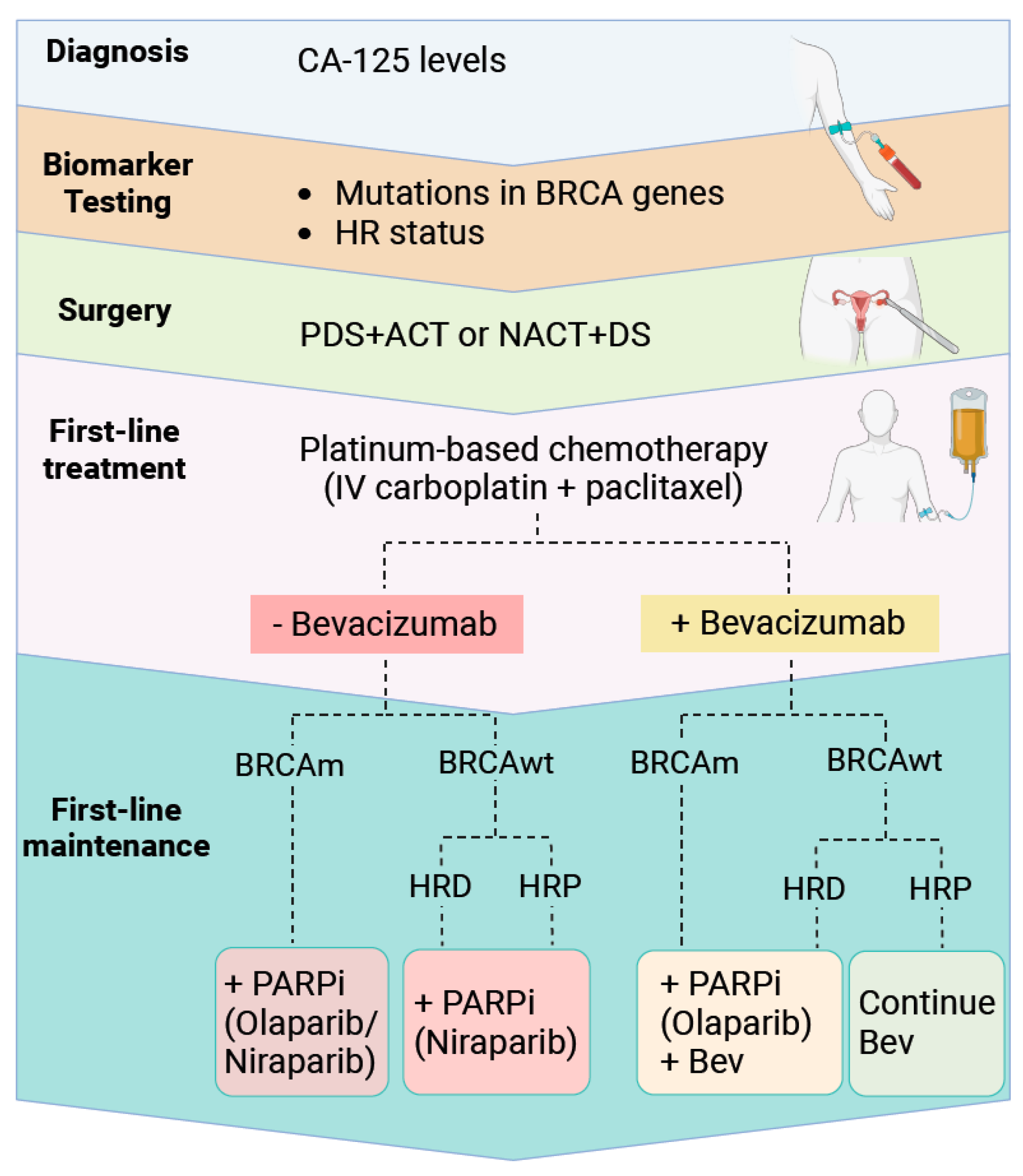 Oncogenic Pathways and Targeted Therapies in Ovarian Cancer