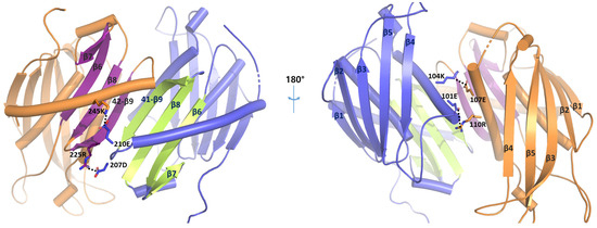 Structural Insights into the Rrp4 Subunit from the Crystal Structure of ...