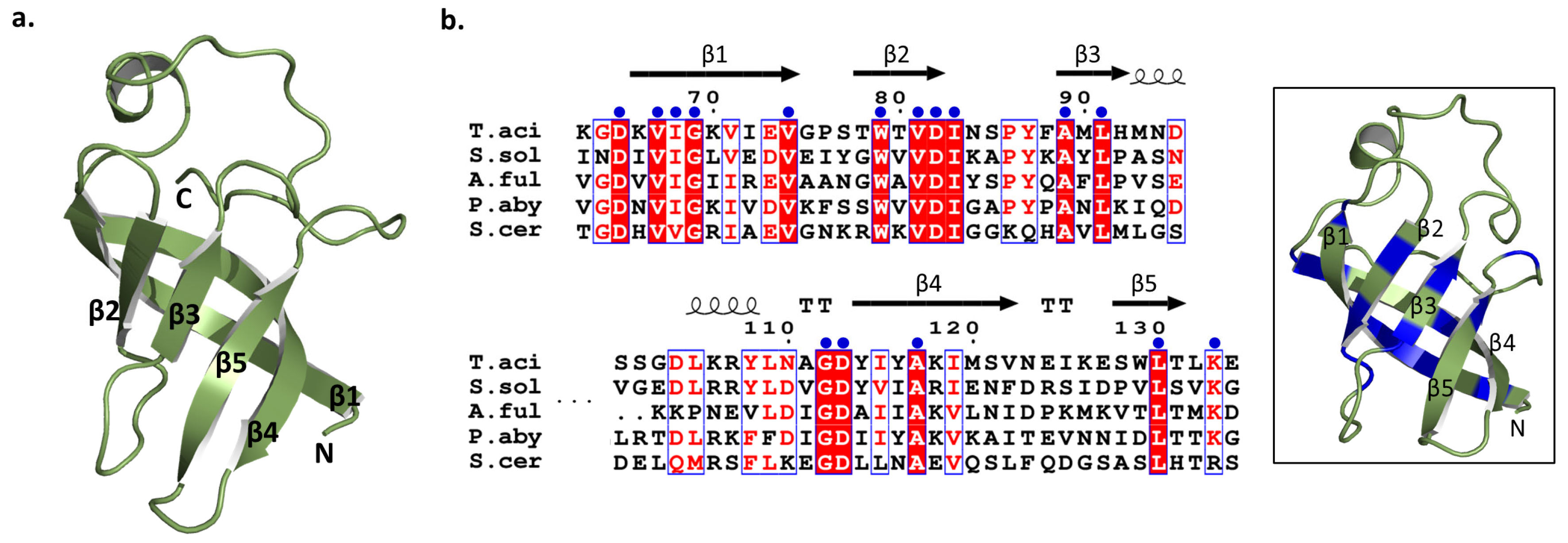 Structural Insights into the Rrp4 Subunit from the Crystal Structure of ...