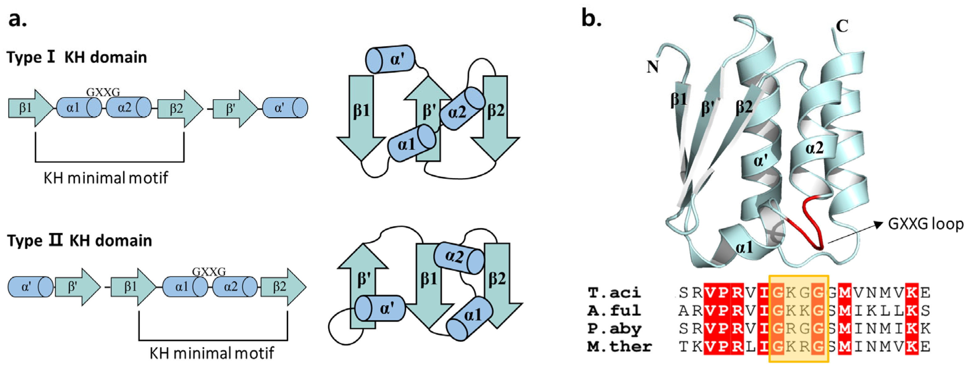 Biomolecules | Free Full-Text | Structural Insights into the Rrp4 ...