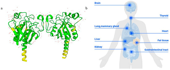 Insights into the Role of Glutathione Peroxidase 3 in Non-Neoplastic ...