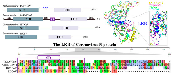 Molecular Mechanisms and Potential Antiviral Strategies of Liquid ...