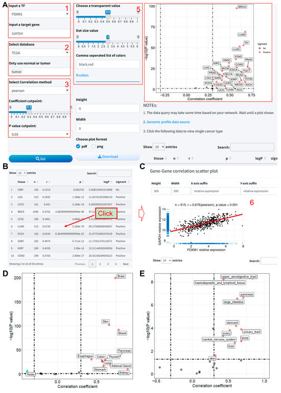 Biomolecules | Free Full-Text | TFTF: An R-Based Integrative Tool for Decoding Human ...