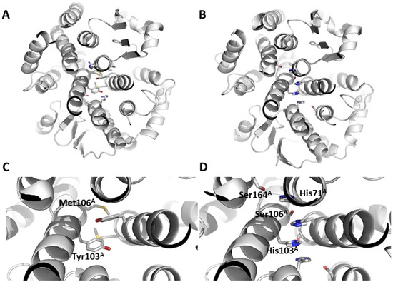 Structural and Thermodynamic Insights into Dimerization Interfaces of Drosophila Glutathione ...