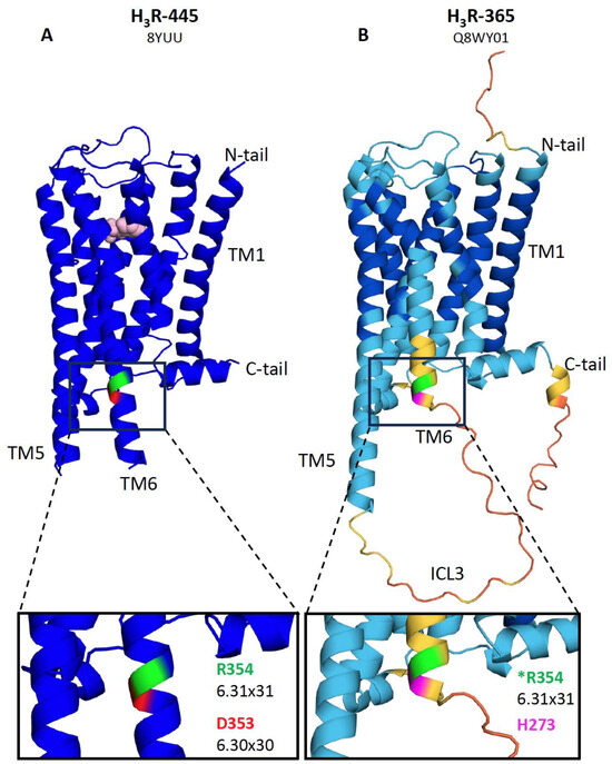 Histamine H3 Receptor Isoforms: Insights from Alternative Splicing to ...