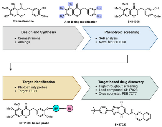 Exploring the Antiangiogenic and Anti-Inflammatory Potential of ...