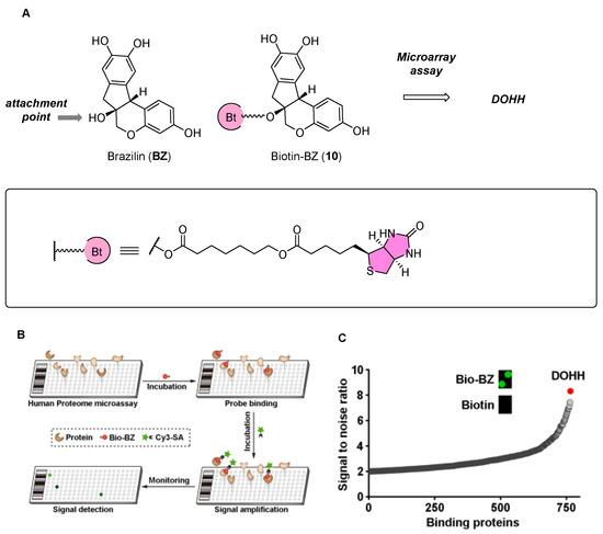 Exploring the Antiangiogenic and Anti-Inflammatory Potential of ...