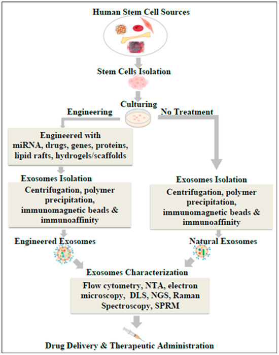 Biomolecules | Free Full-Text | Stem Cell-Based Acellular Therapy ...