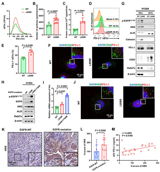 EGFR Mutation and TKI Treatment Promote Secretion of Small ...