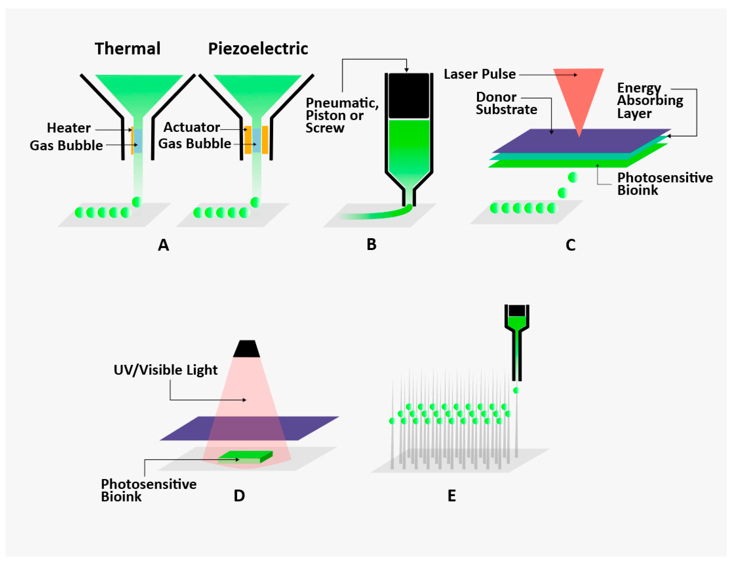 Biomolecules | Free Full-Text | Recent Advances in Hydrogel-Based 3D Bioprinting and Its ...