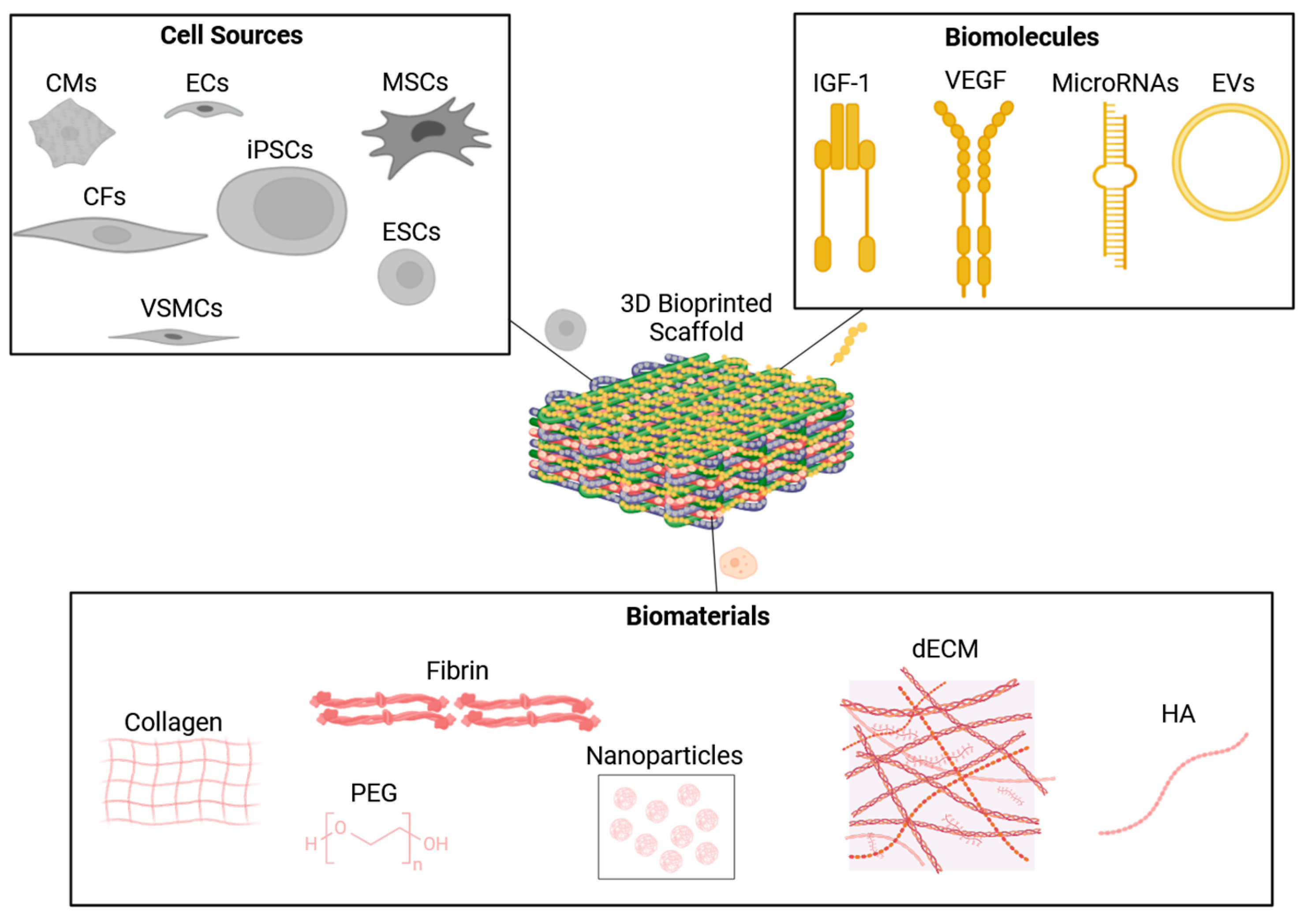 Biomolecules | Free Full-Text | Recent Advances in Hydrogel-Based 3D Bioprinting and Its ...