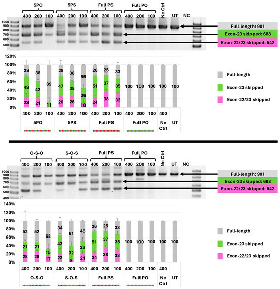 Rational Design of Chimeric Antisense Oligonucleotides on a Mixed PO–PS ...