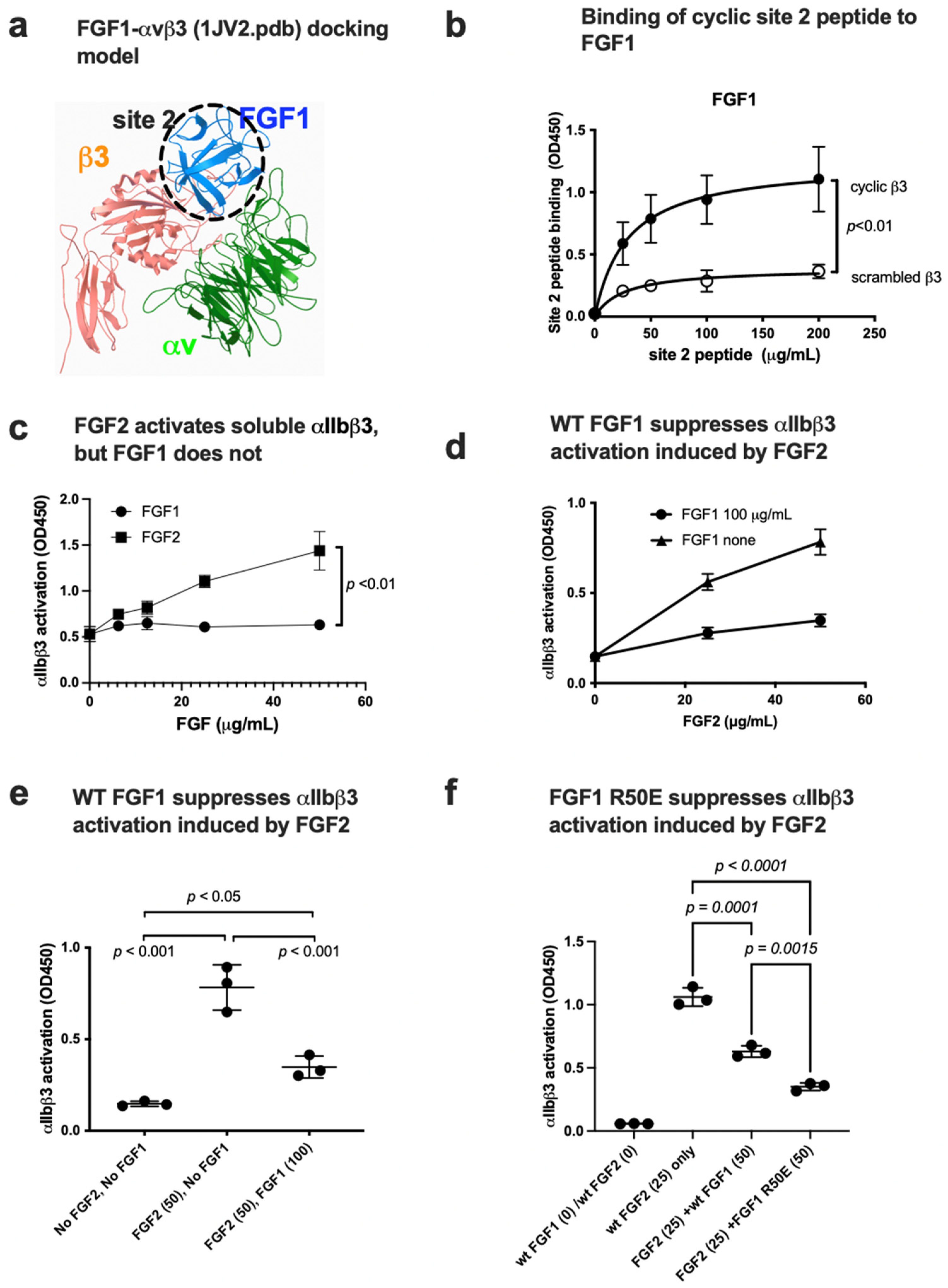 Biomolecules | Free Full-Text | FGF1 Suppresses Allosteric Activation of β3 Integrins by FGF2: A ...