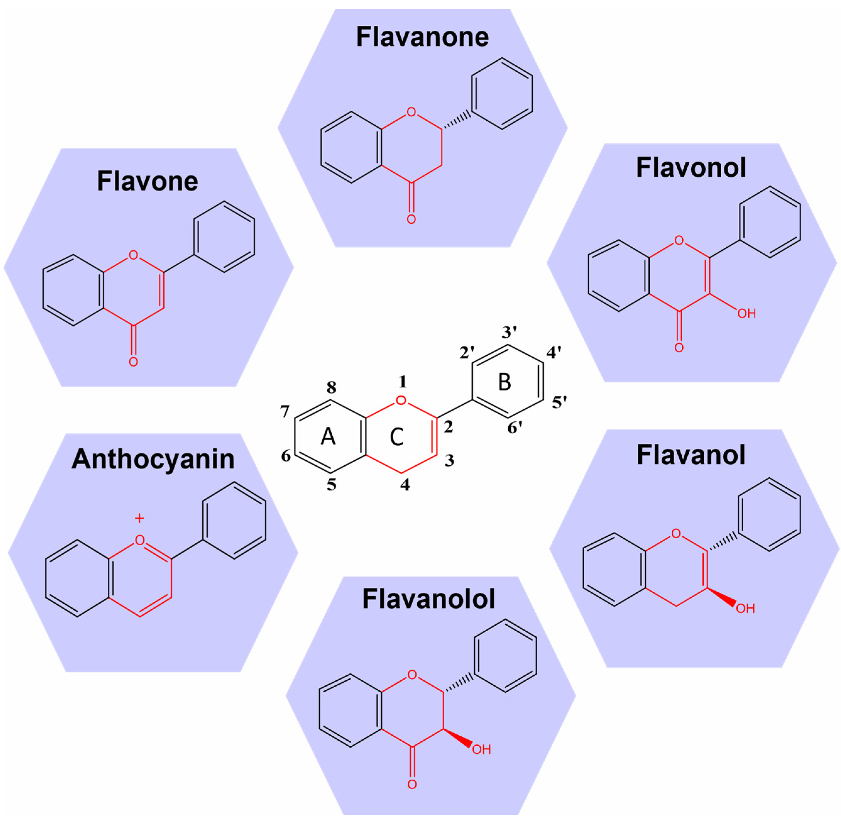 Biomolecules | Free Full-Text | A Study on the Regioselective ...