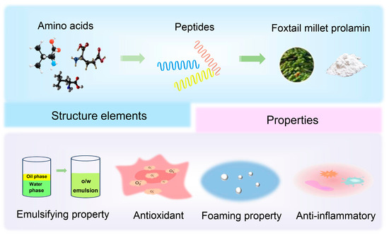 Structure, Functional Properties, and Applications of Foxtail Millet ...