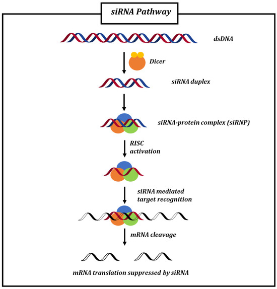 Novel Therapeutic Horizons: SNCA Targeting in Parkinson’s Disease