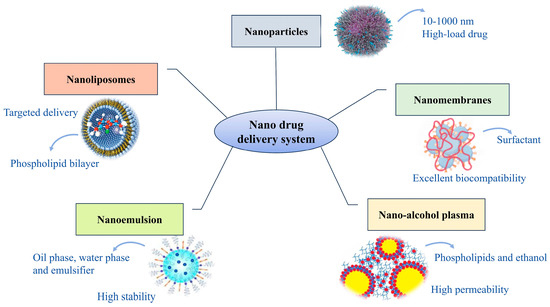 Biomembrane-Modified Biomimetic Nanodrug Delivery Systems: Frontier ...
