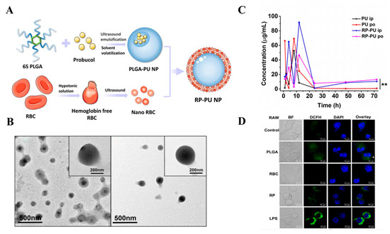 Biomembrane-Modified Biomimetic Nanodrug Delivery Systems: Frontier ...