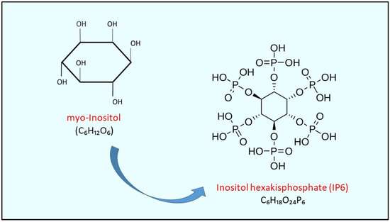 The Role of Inositols in Endocrine and Neuroendocrine Tumors