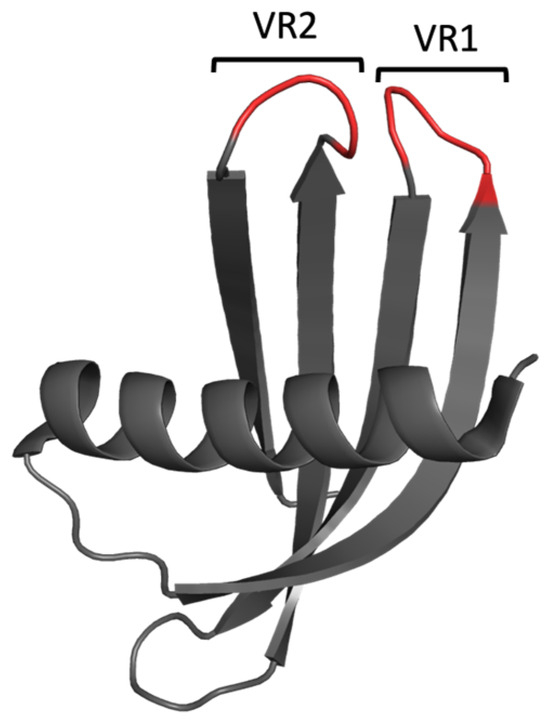 Targeting Grb2 SH3 Domains with Affimer Proteins Provides Novel ...