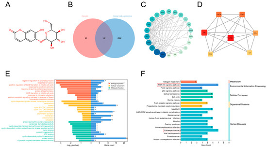 Revealing the Mechanism of Esculin in Treating Renal Cell Carcinoma ...