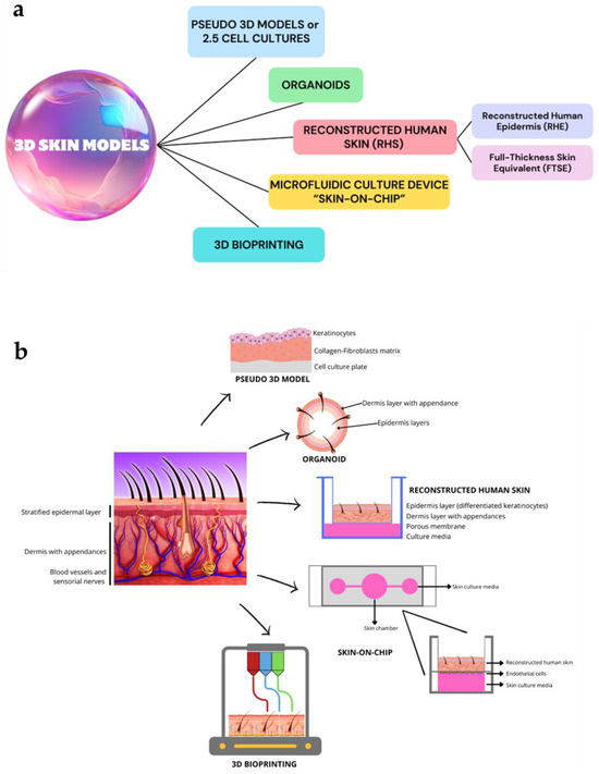 Biomolecules | Free Full-Text | 3D Models Currently Proposed to ...