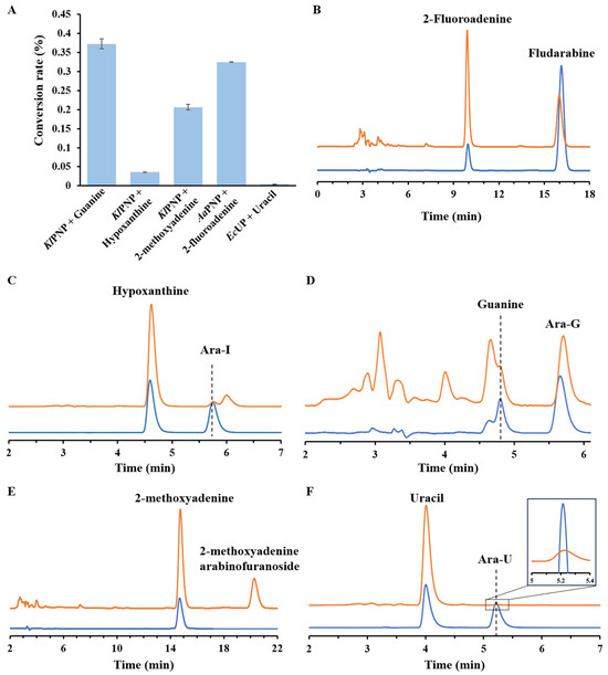 Biosynthesis of Arabinoside from Sucrose and Nucleobase via a Novel ...