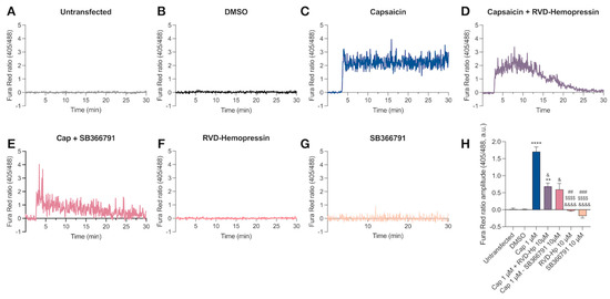 The Endocannabinoid Peptide RVD-Hemopressin Is a TRPV1 Channel Blocker