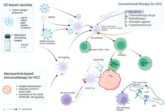 Research Progress on Dendritic Cells in Hepatocellular Carcinoma Immune ...