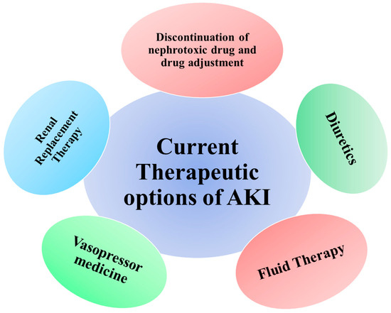 Complex Pathophysiology of Acute Kidney Injury (AKI) in Aging ...