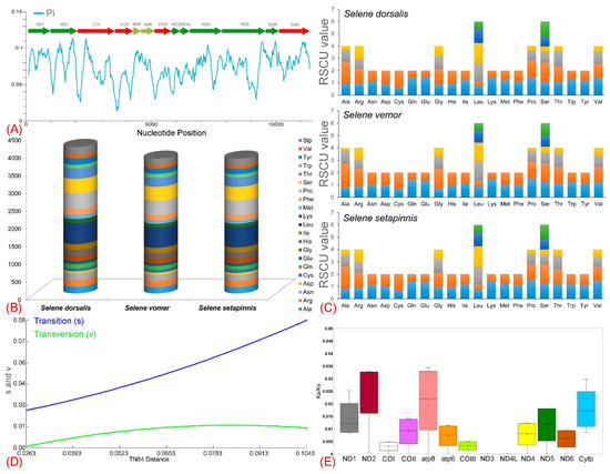 Endemic Radiation of African Moonfish, Selene dorsalis (Gill 1863), in ...