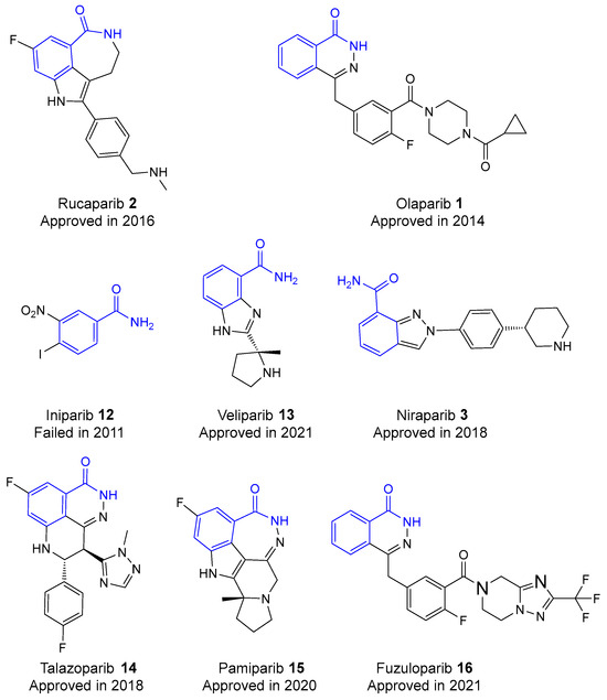 Poly(ADP-Ribose) Polymerase (PARP) Inhibitors for Cancer Therapy ...