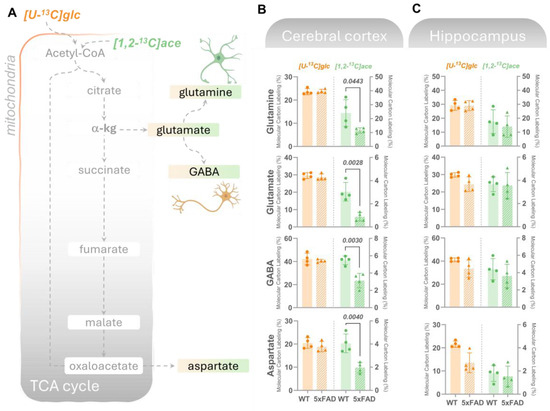 Comprehensive Analysis of the 5xFAD Mouse Model of Alzheimer’s Disease ...