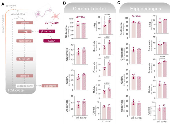 Comprehensive Analysis of the 5xFAD Mouse Model of Alzheimer’s Disease ...