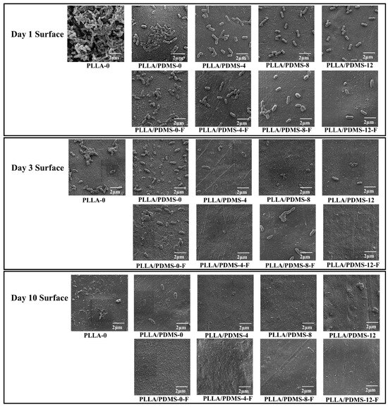 Preparation and Antibacterial Properties of Poly (l-Lactic Acid ...