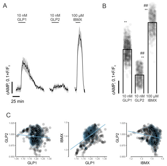 Comparative Effects of GLP-1 and GLP-2 on Beta-Cell Function, Glucose ...