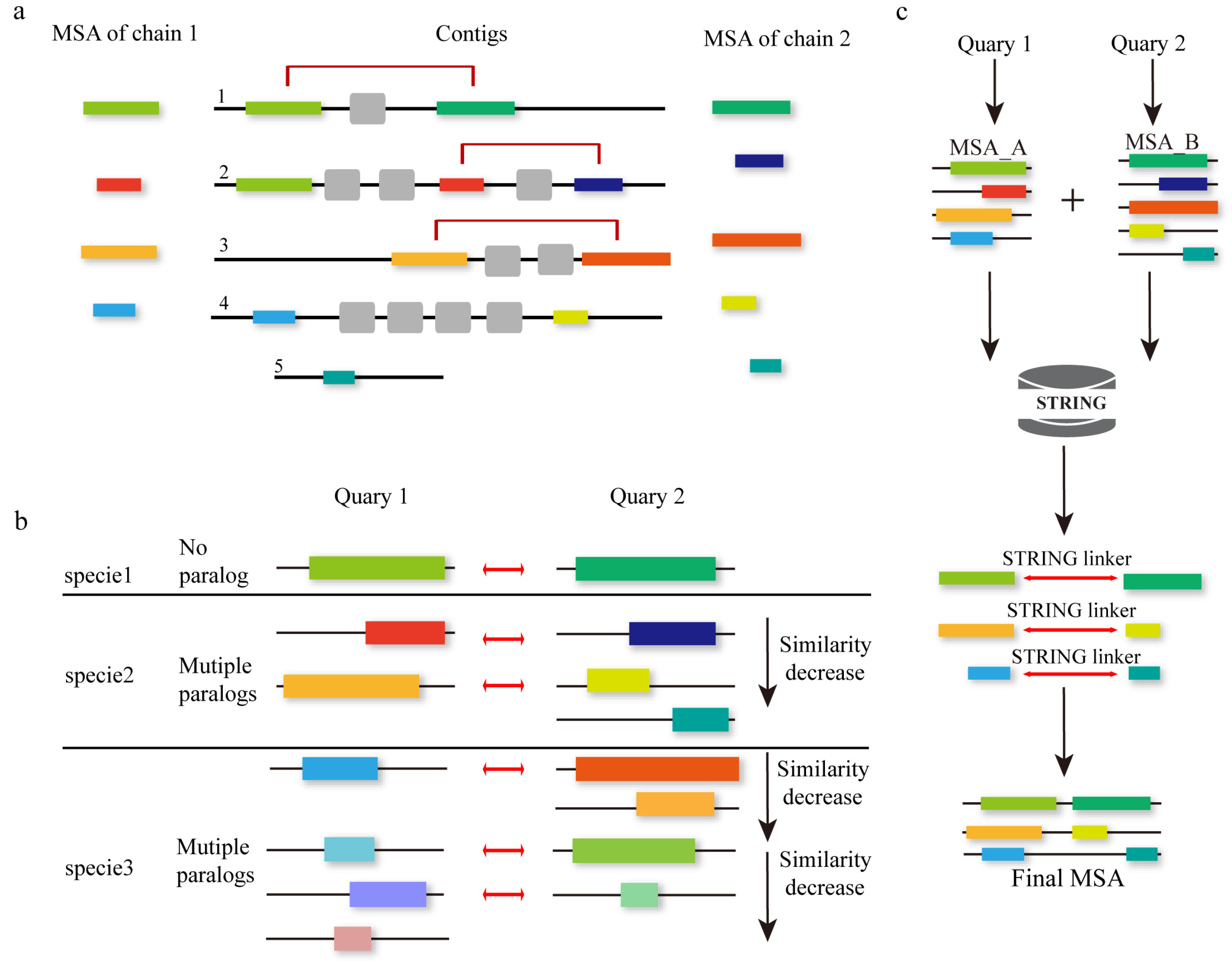 The Historical Evolution and Significance of Multiple Sequence ...