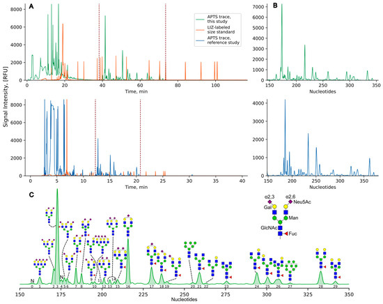 Fast and Simple Protocol for N-Glycome Analysis of Human Blood Plasma Proteome