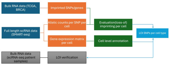 Characterization of Loss-of-Imprinting in Breast Cancer at the Cellular ...