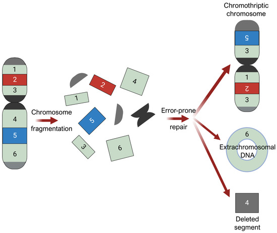 Acral Melanoma: A Review of Its Pathogenesis, Progression, and Management