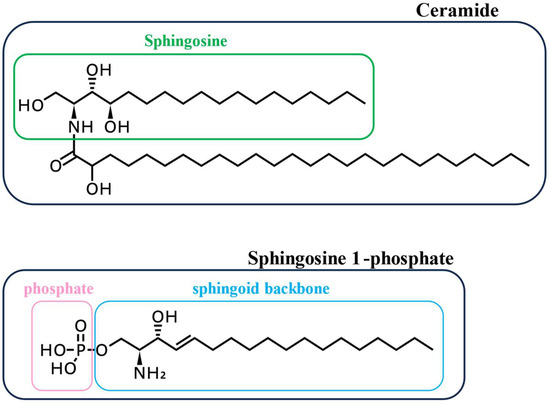 Possible Involvement of Lysophospholipids in Severe Asthma as Novel ...