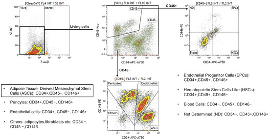 State of the Art in the Standardization of Stromal Vascular Fraction ...