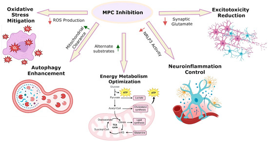 Advances in the Development of Mitochondrial Pyruvate Carrier ...