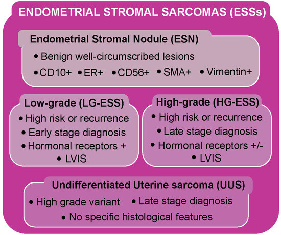 Molecular Insights in Endometrial Stromal Sarcomas: Exploring New ...