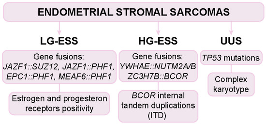 Molecular Insights in Endometrial Stromal Sarcomas: Exploring New ...