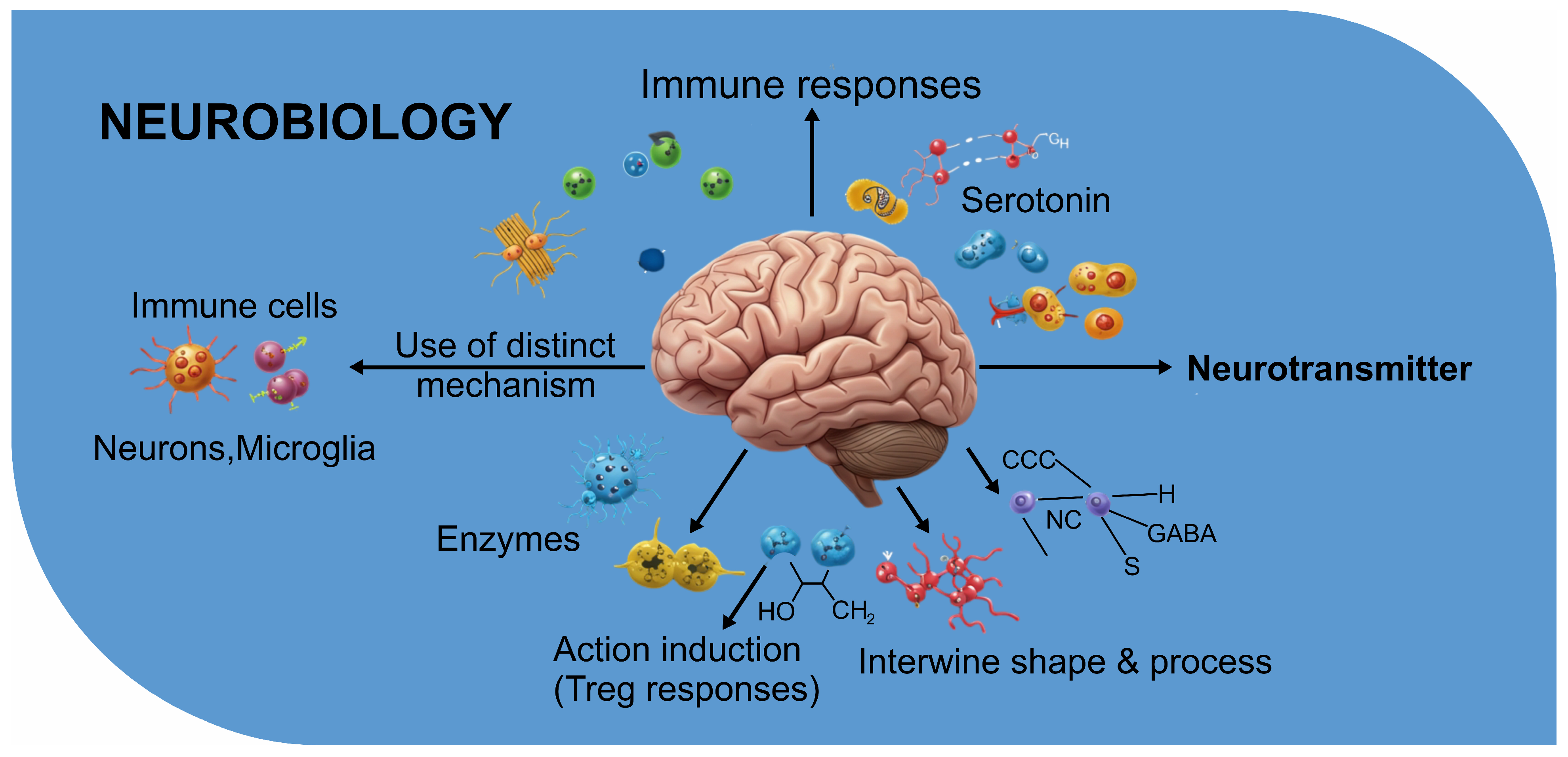 Modulation of the Neuro–Cancer Connection by Metabolites of Gut Microbiota