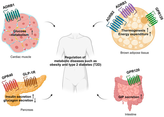 G-Protein-Coupled Receptor (GPCR) Signaling and Pharmacology in ...